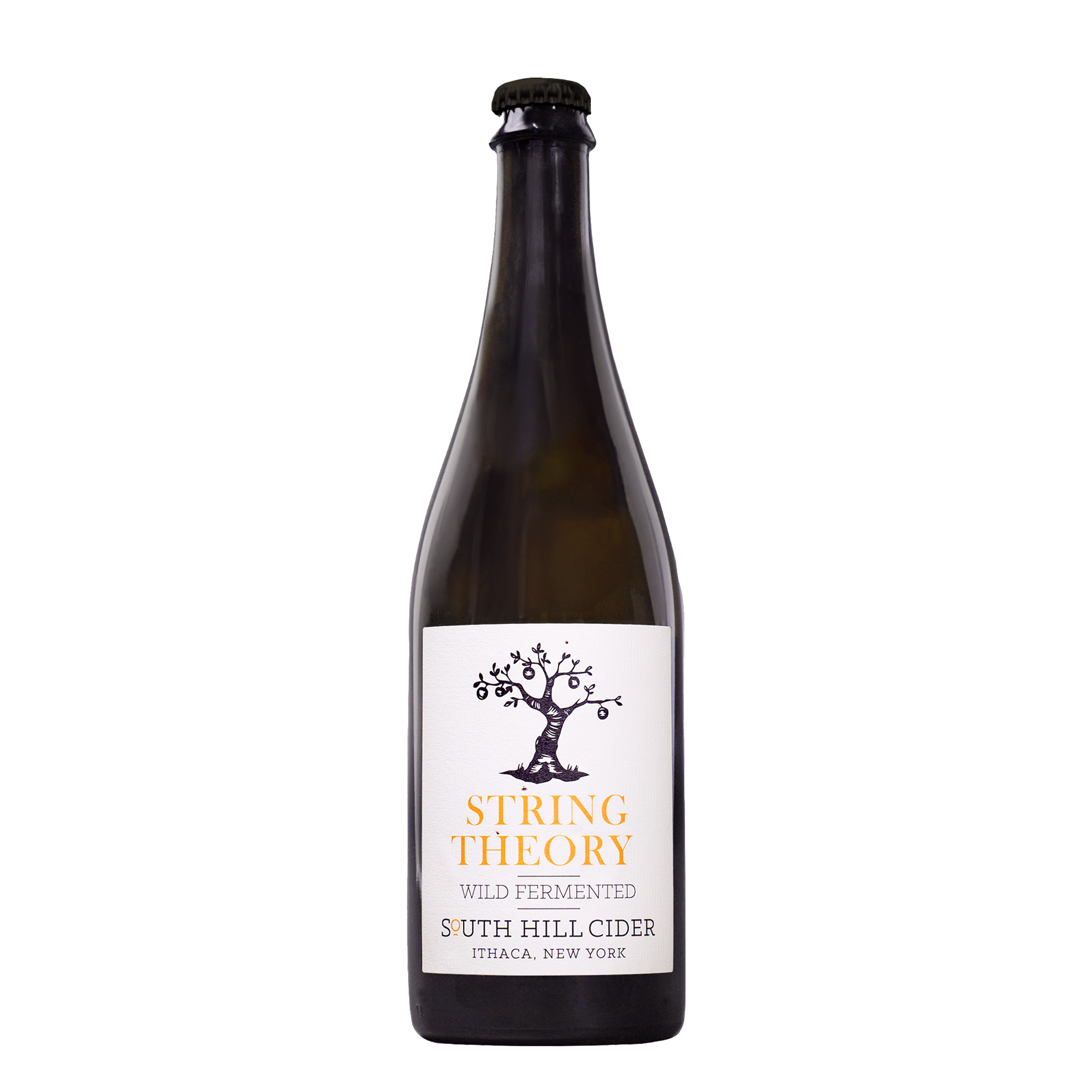 South Hill Cider String Theory 750ml Bottle – Bottles Fine Wine