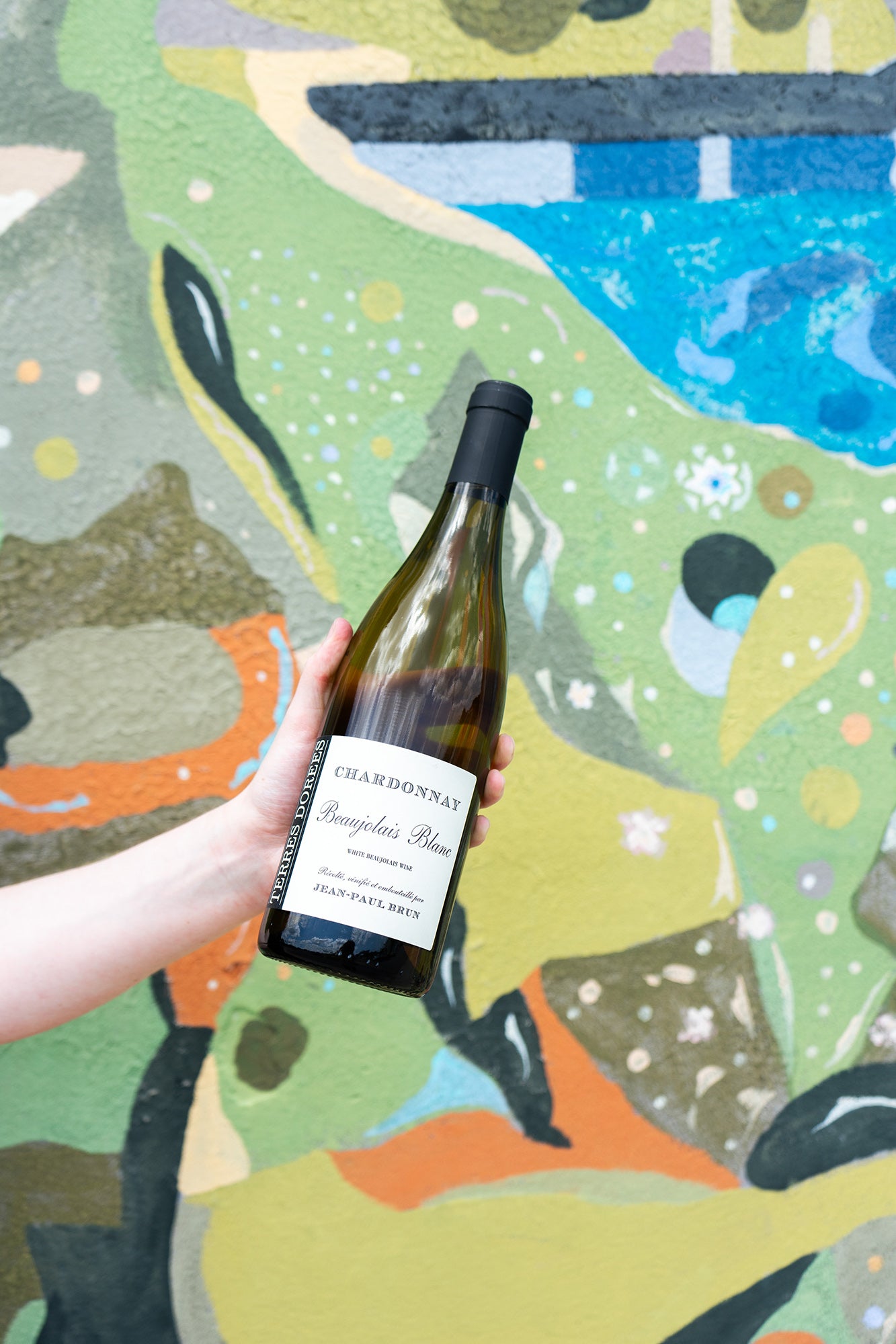 Bottles Fine Wine - See Our Collection of Wines, Beers and Liquors